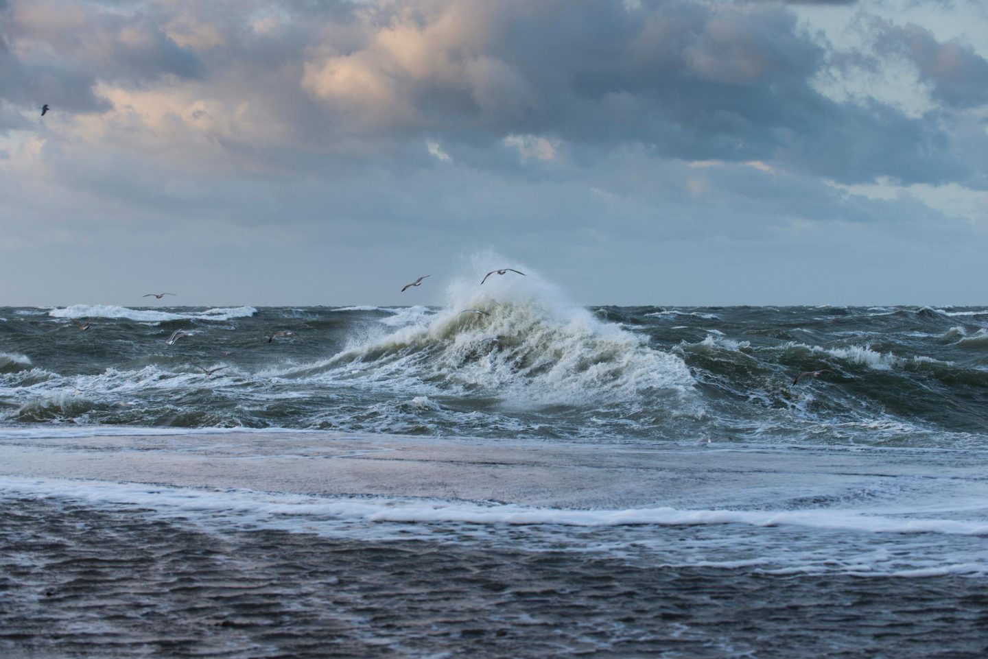 Stormachtig begin 2025; wind en regen geselen Groningen