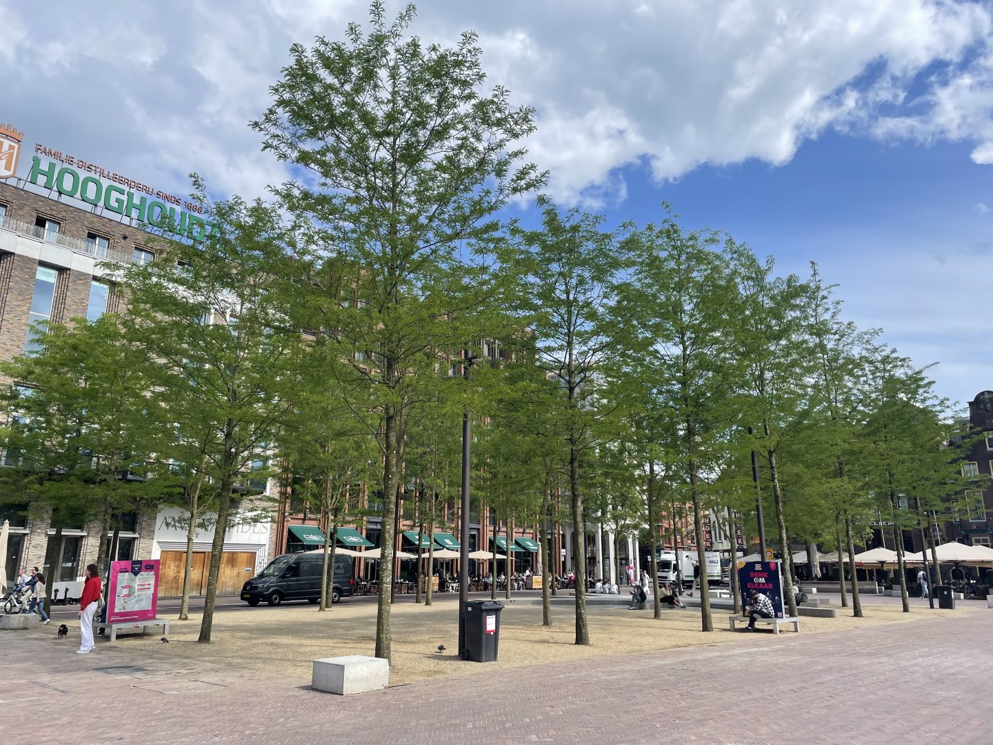 De bomen stelen de show op vernieuwde Grote Markt Groningen