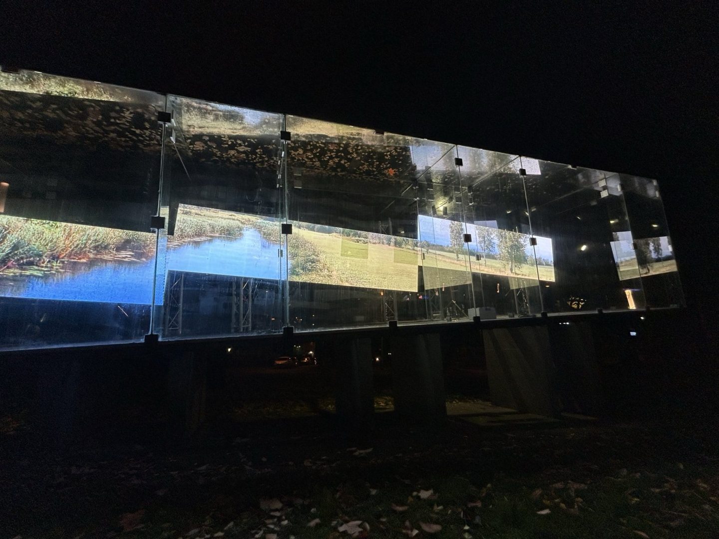 Kunst in Tschumipaviljoen toont met AI hoe rijk de natuur ooit was